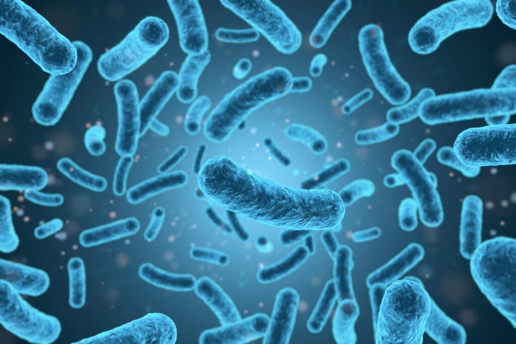 „Bacteria devoratoare de carne” se extinde și în Marea Neagră. Punctul ...